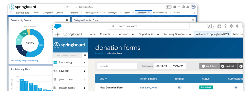 Springboard: Fundraising and Advocacy Software | Jackson River
